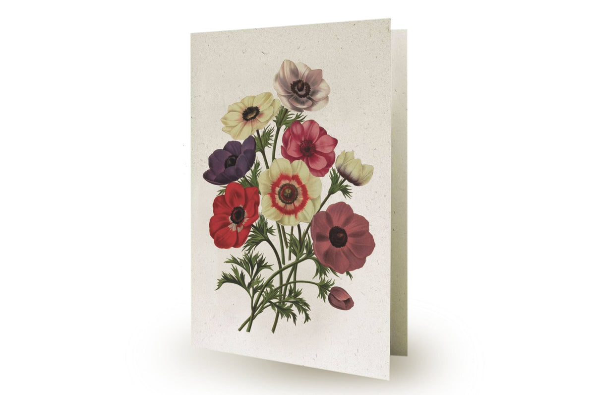 Fast Hemp Greeting Card And Invitation Printing At Clubcard Vancouver ...